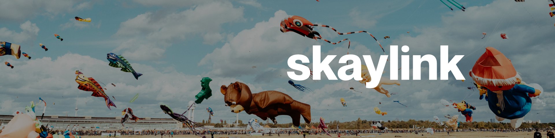 Skaylink als Arbeitgeber: Gehalt, Karriere, Benefits